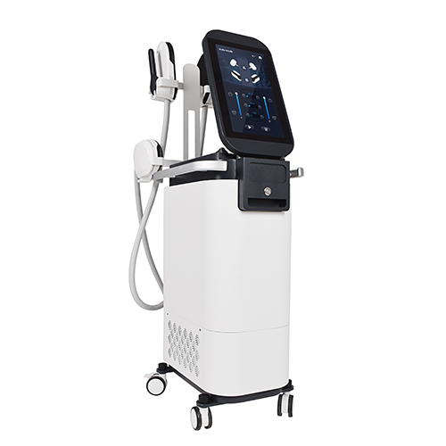 Máquina EMSlim Neo RF